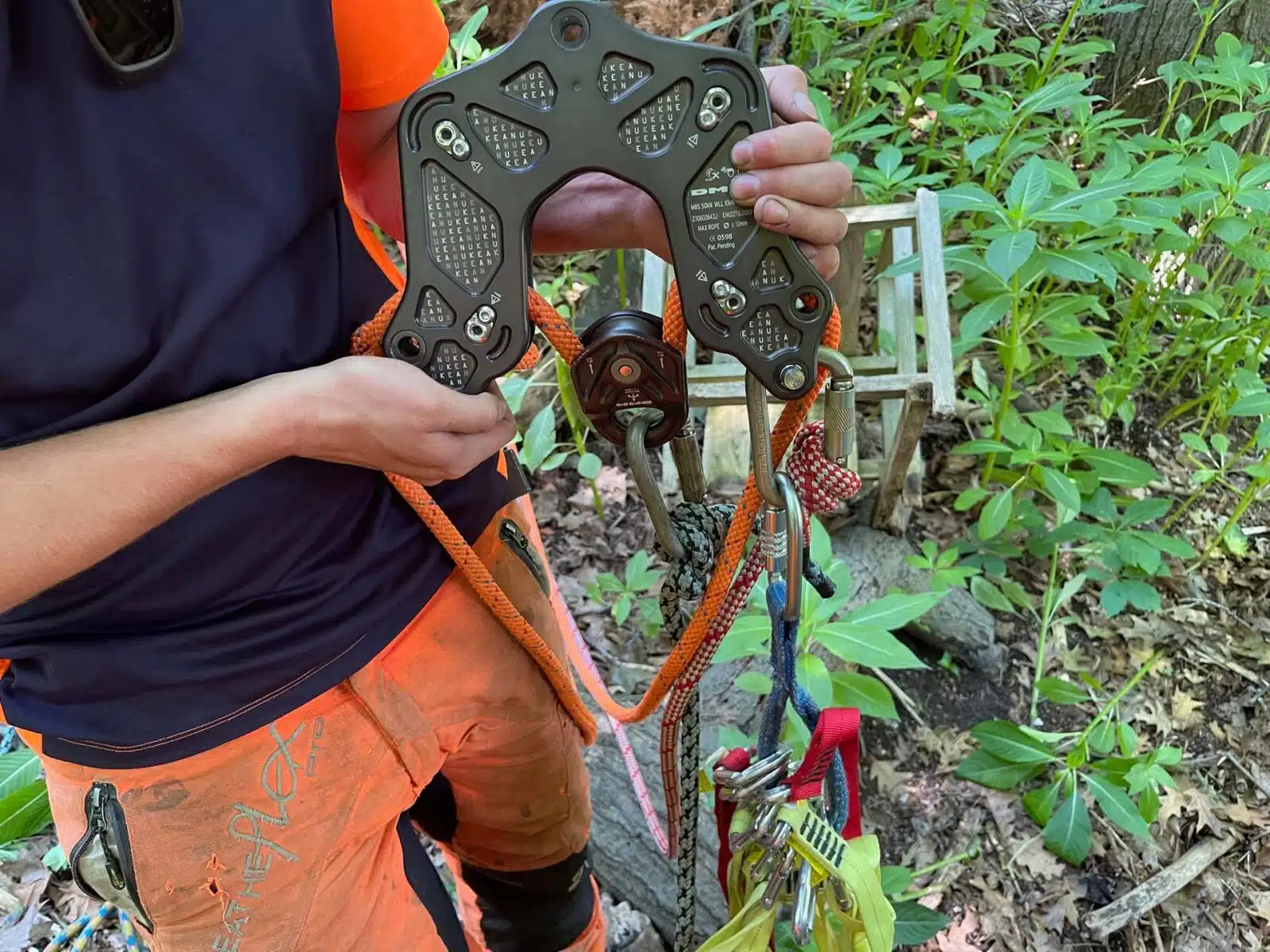 The Best How-to DIY Tree Trimming Tips from Arborists