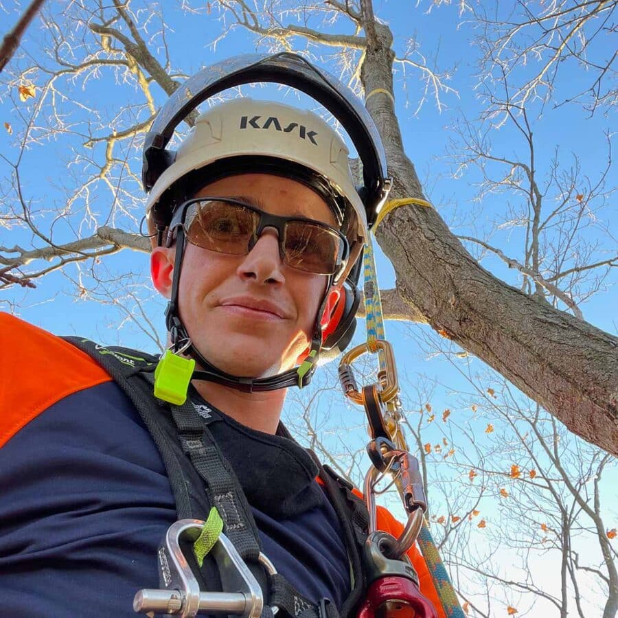 The Best Trees for Small Yards • Vista Tree Management