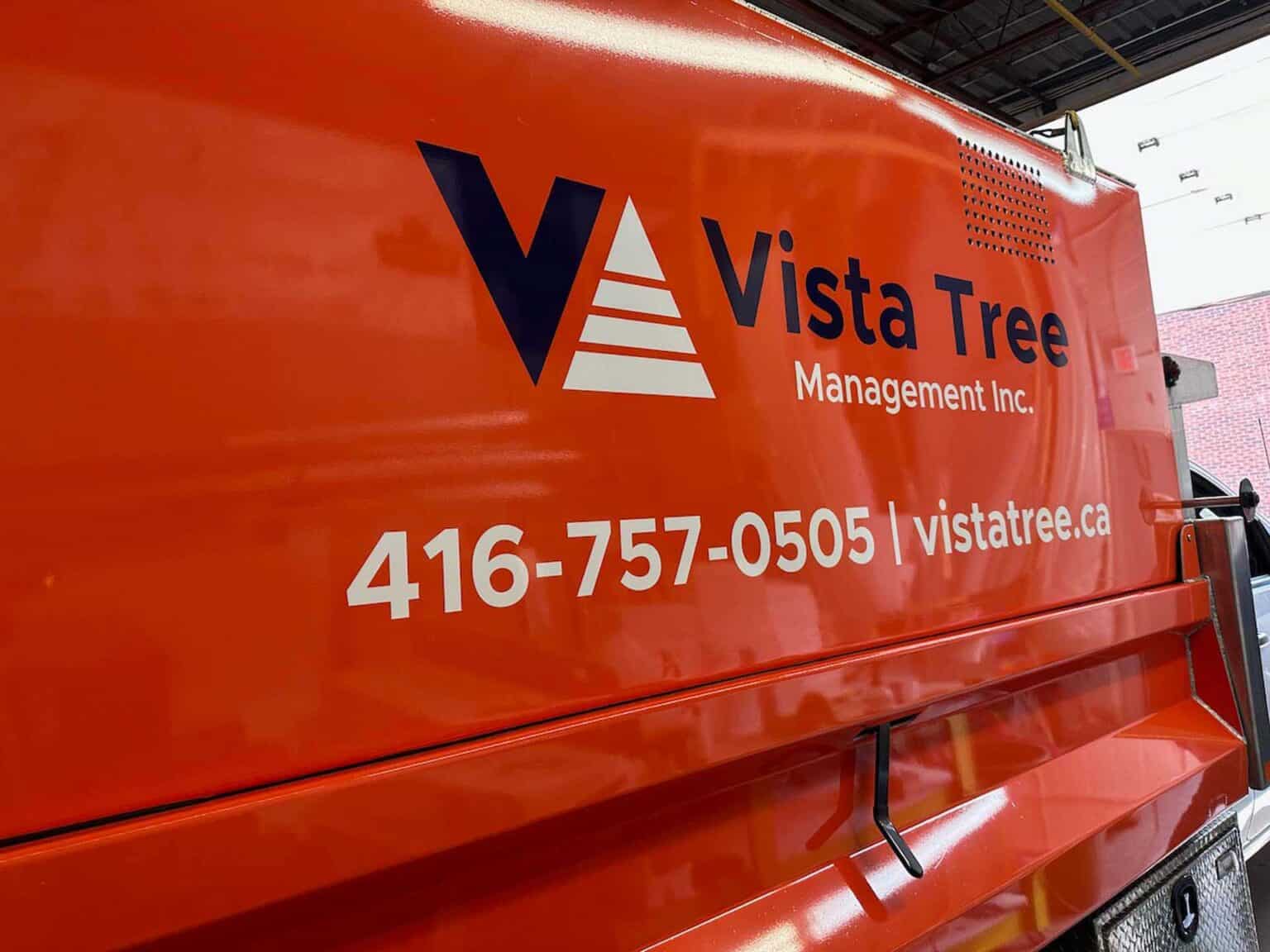 What Is A Tree Doctor? • Vista Tree