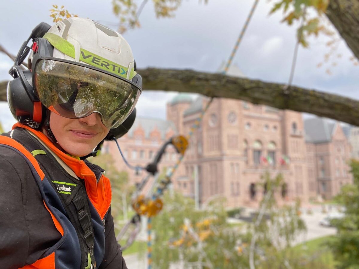 About Us: Meet our Team • Vista Tree Management